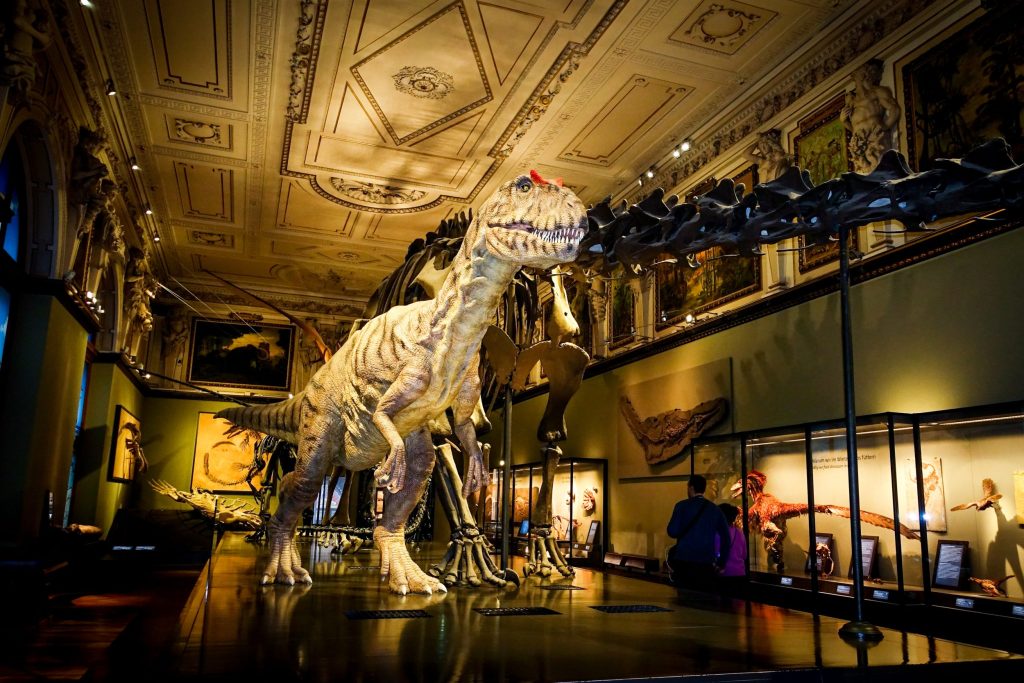 Exploring Vienna's Cultural Treasures: A Guide to the Finest Museums in ...